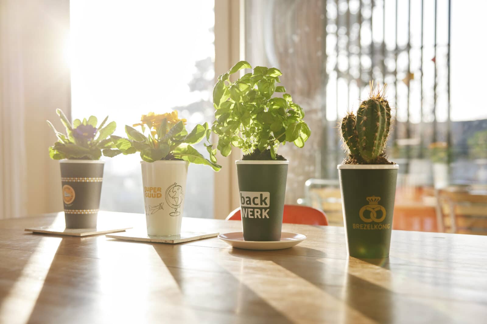 Valora Stories — Stratégie & Numéros, Business, Travailler avec Valora